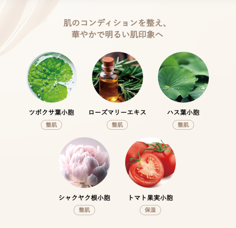 V3ファンデーションから待望の新作登場！「V3インテリジェント ファンデーション」 - ANNE COLUMN